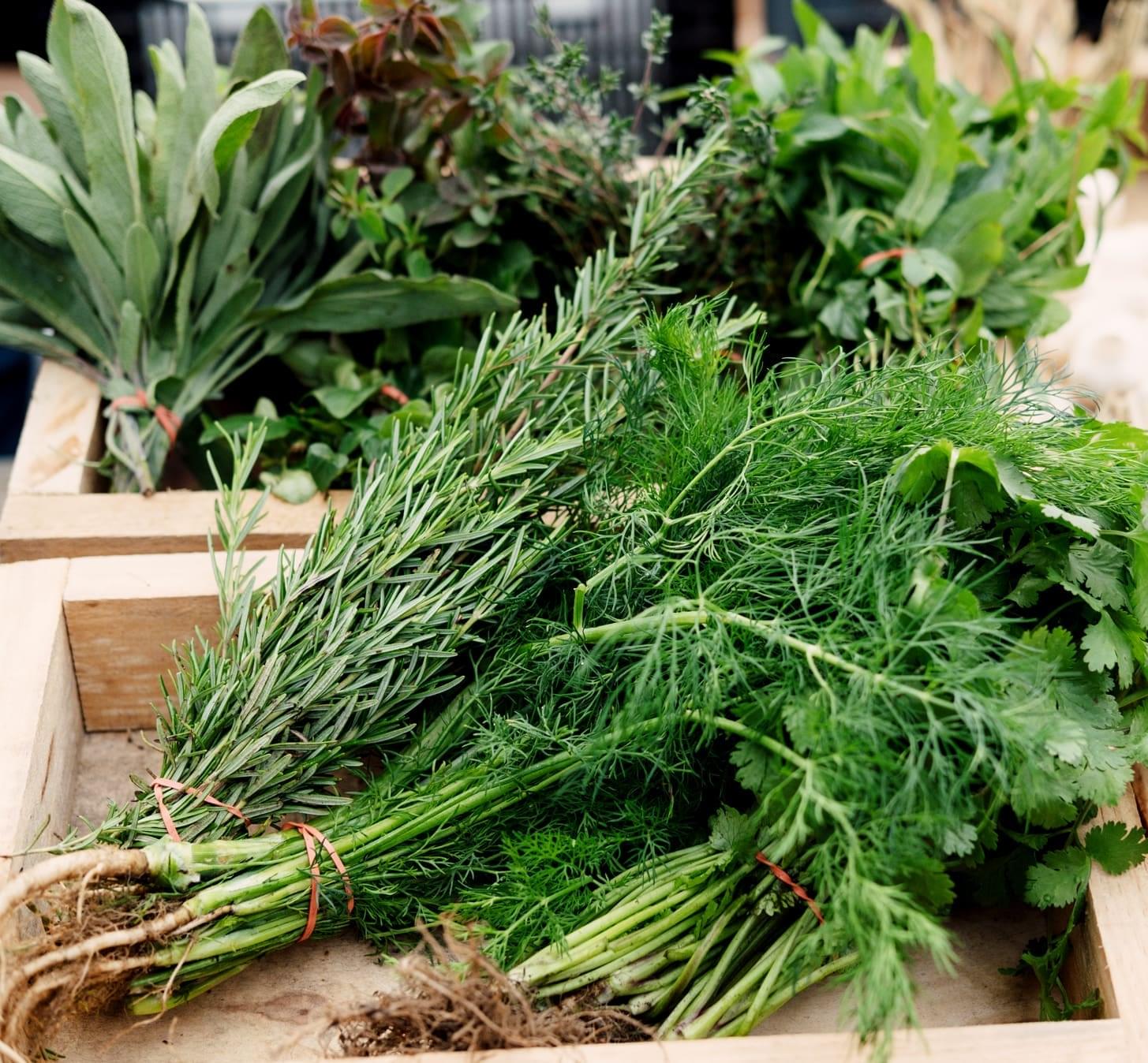 Fines herbes | Association des Marchés Publics du Québec